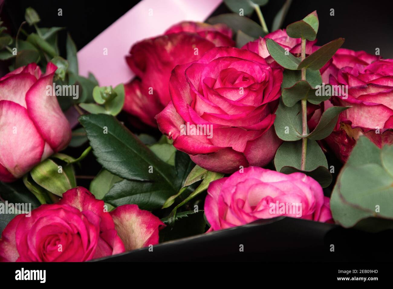 Funeral red rose flowers bouquet arrangement in black wrap. Mourning ...