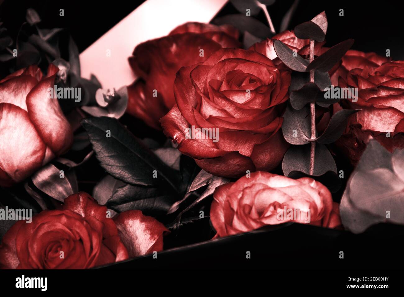 Funeral rose flowers bouquet arrangement. Mourning background. Grief ...