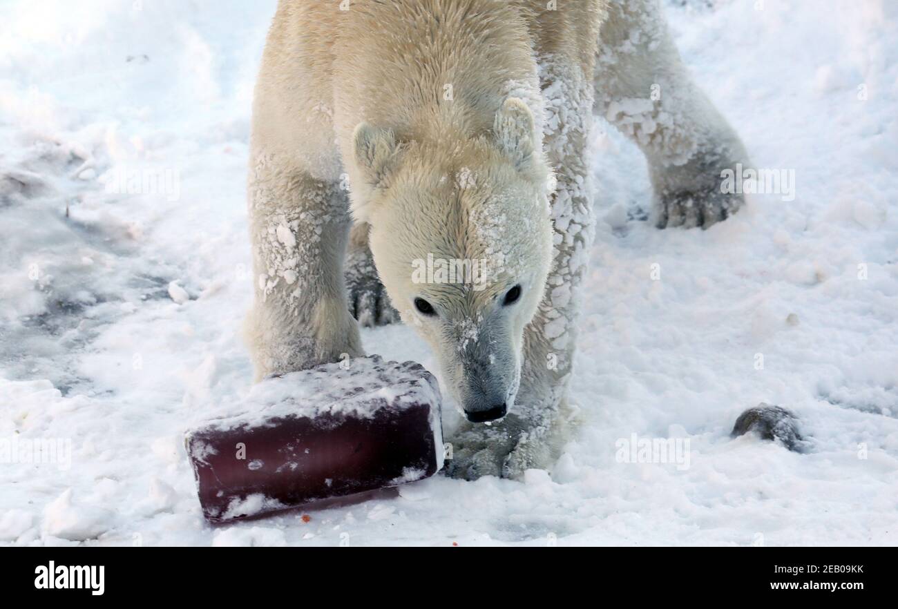 Tea bomb hi-res stock photography and images - Alamy