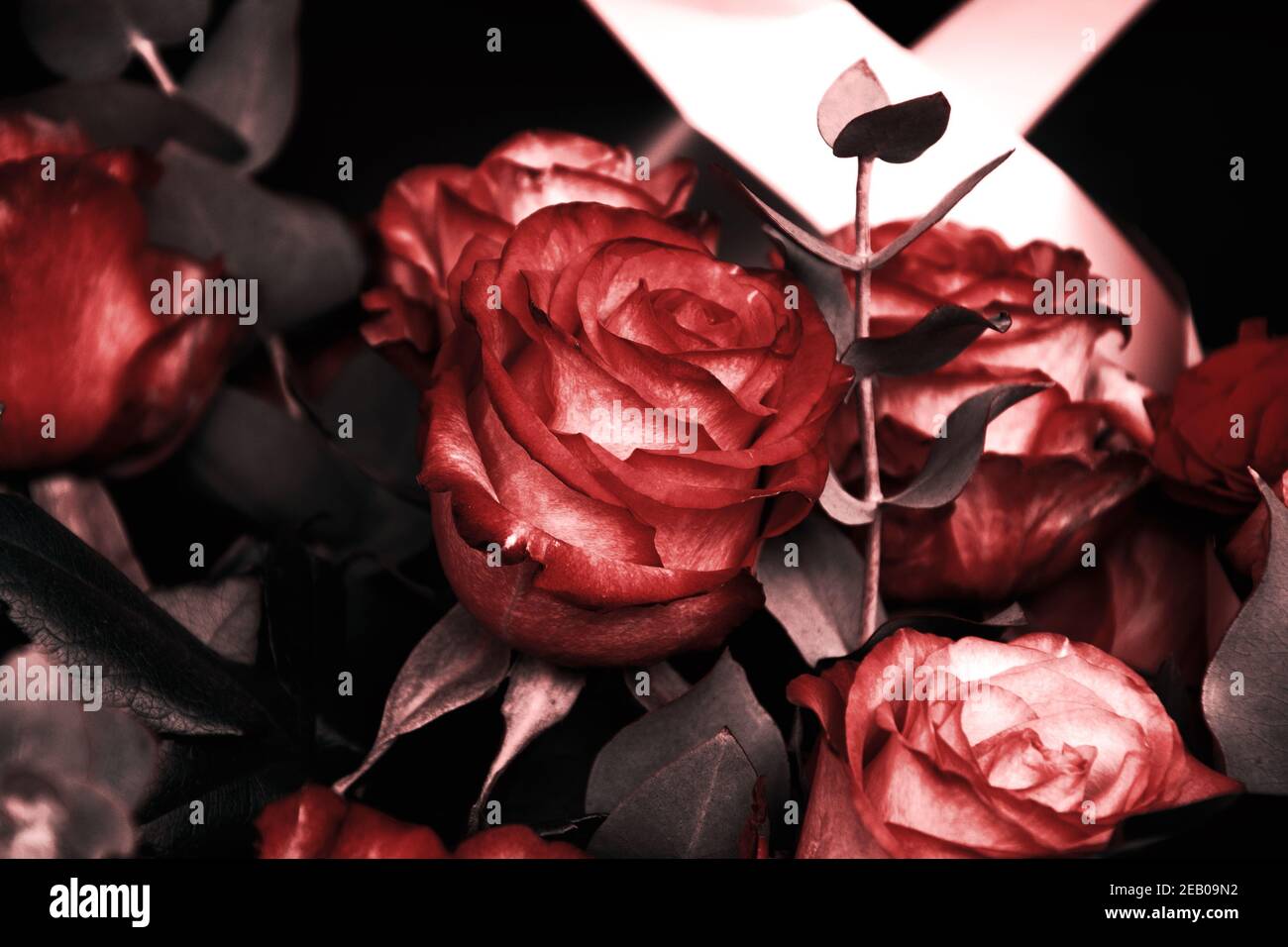 Funeral rose flowers bouquet arrangement. Mourning background. Grief ...