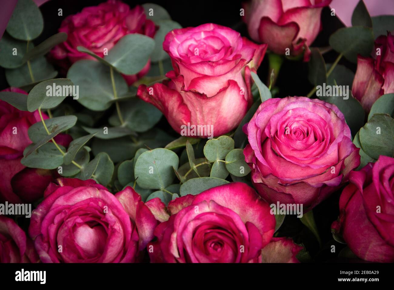 Funeral red rose flowers bouquet arrangement in black wrap. Mourning ...