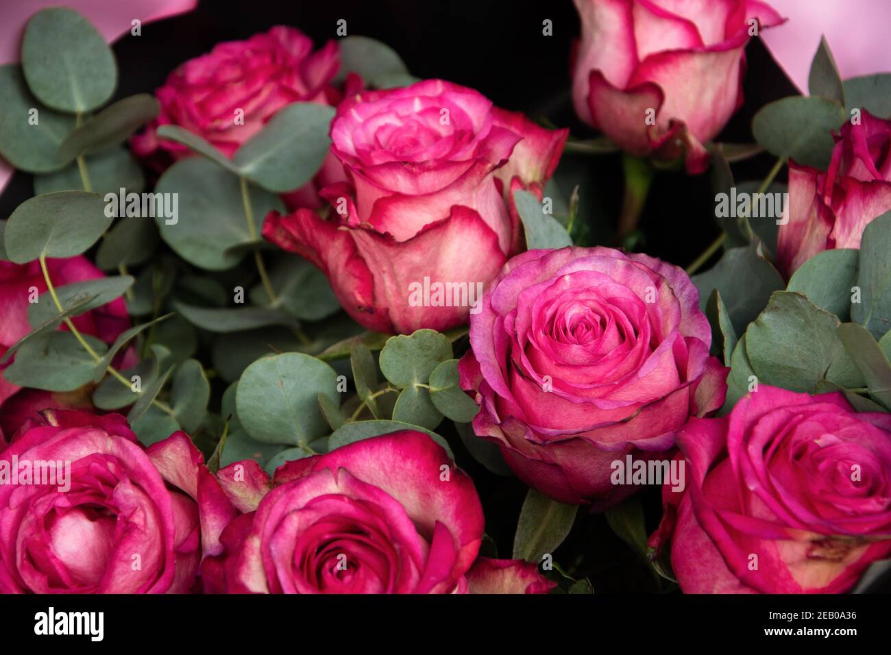 Funeral red rose flowers bouquet arrangement in black wrap. Mourning ...