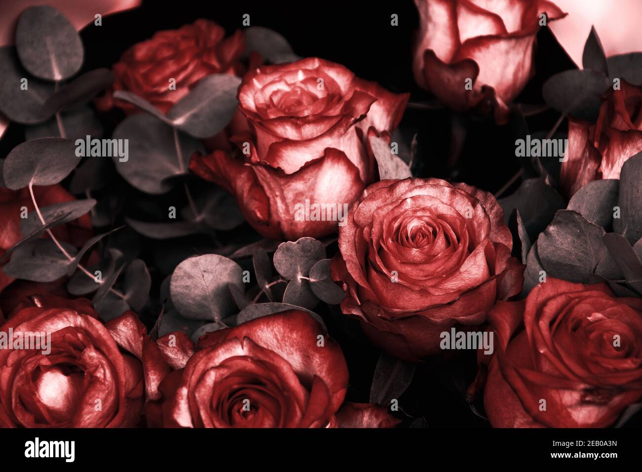 Funeral rose flowers bouquet arrangement. Mourning background. Grief ...