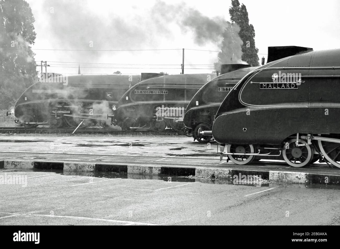Line up of four surviving LNER Class A4 Pacific steam locomotives ...
