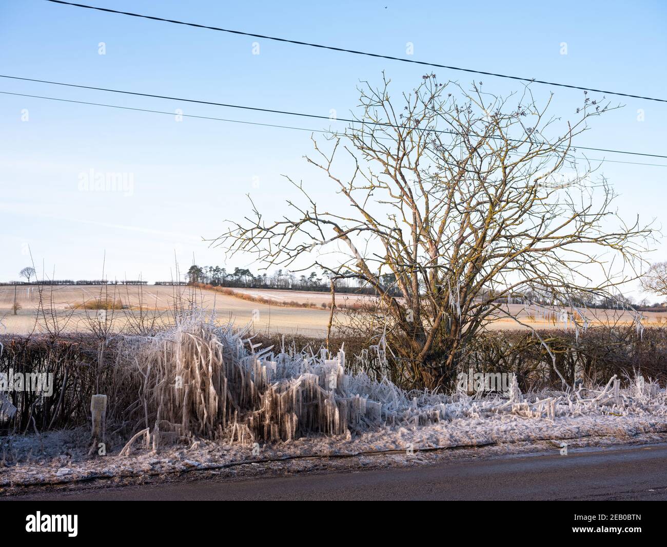 Telegraph pole in countryside hi-res stock photography and images - Alamy