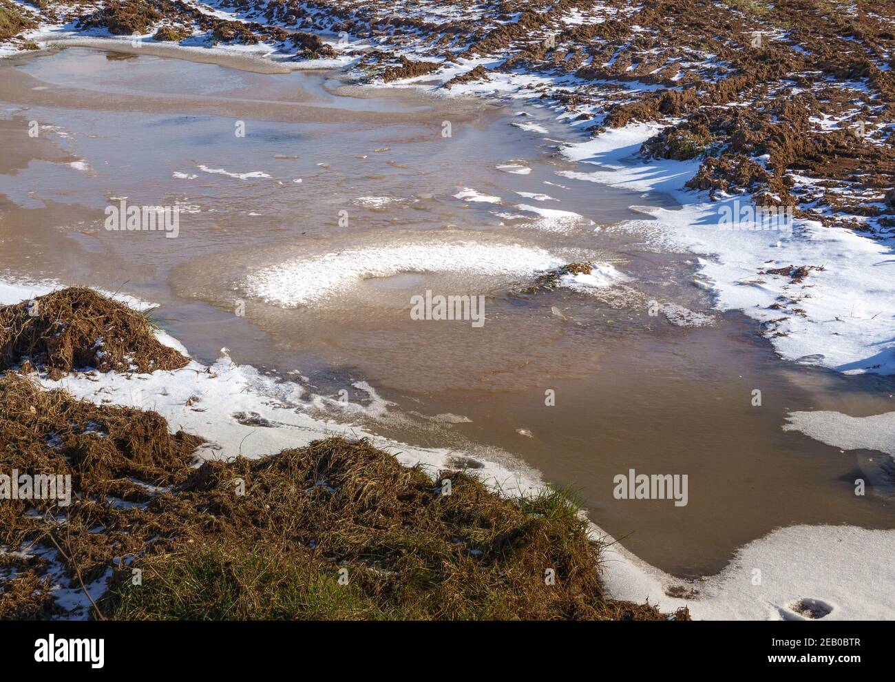 snow covered frozen puddle with patterns from the strong winds as the ...