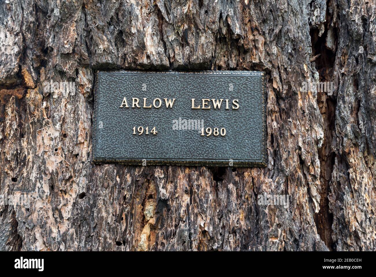 Arlow Lewis memorial, Taylor Ranch, Idaho Stock Photo - Alamy