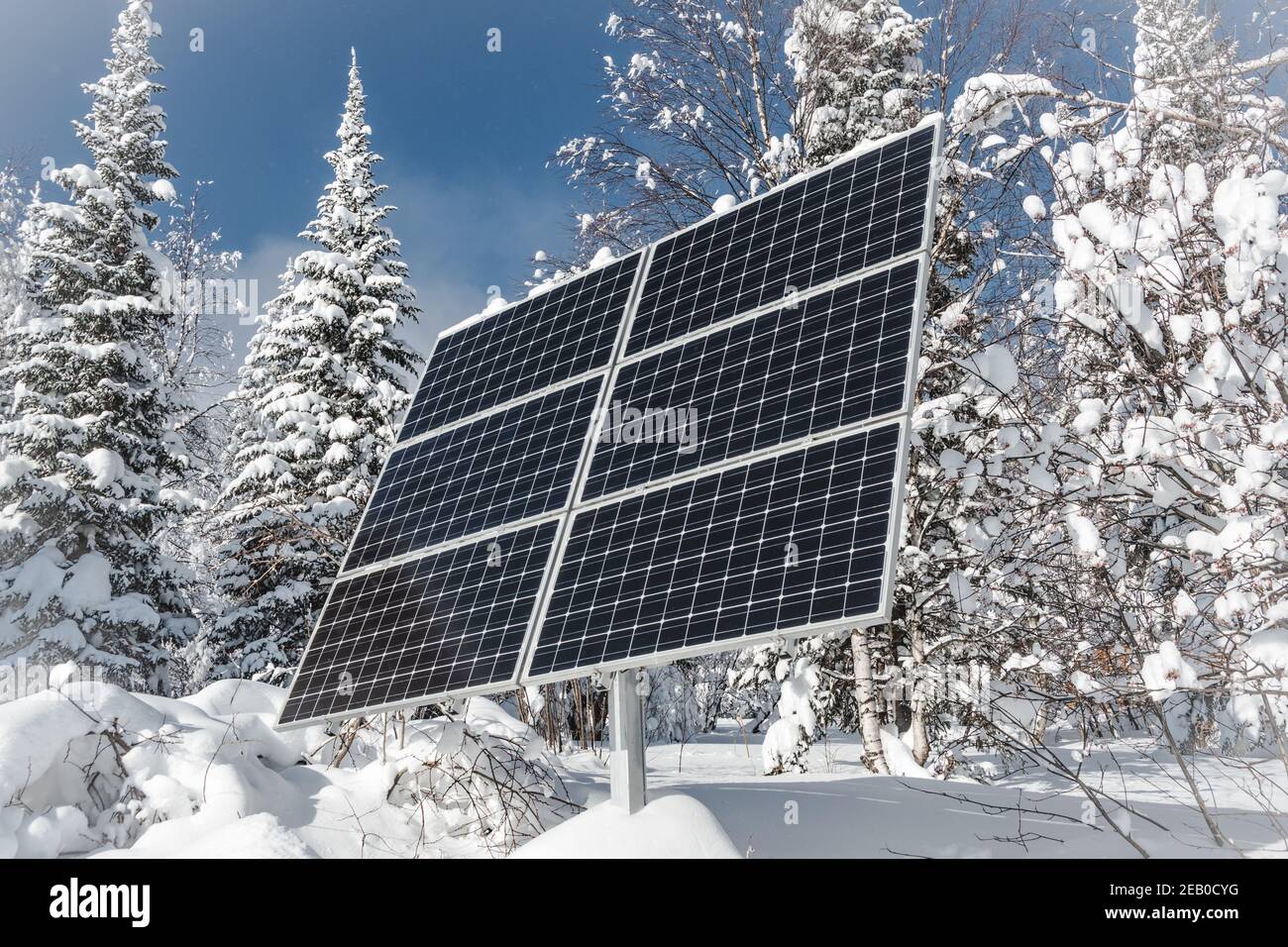 Solar panel with snowy forest on clear winter day Stock Photo - Alamy