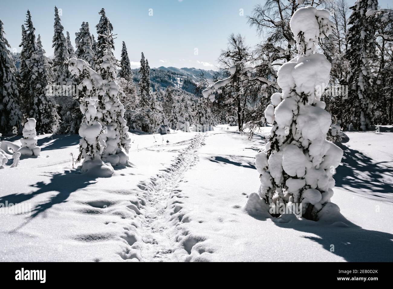 Clear weather on mountain slope hi-res stock photography and images - Alamy