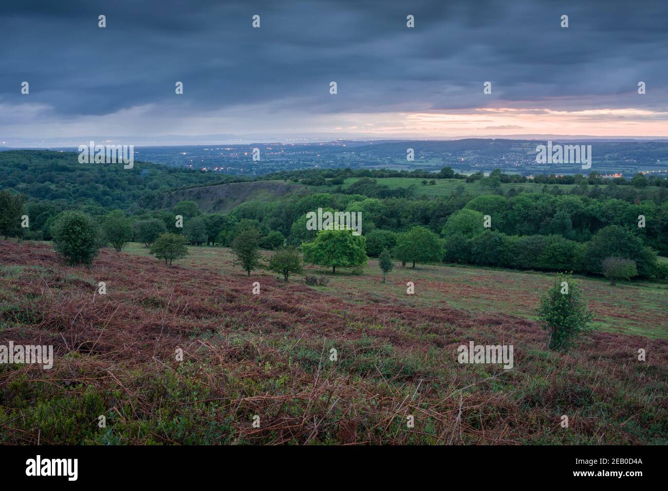 Dusk landscape summer trees hi-res stock photography and images - Alamy