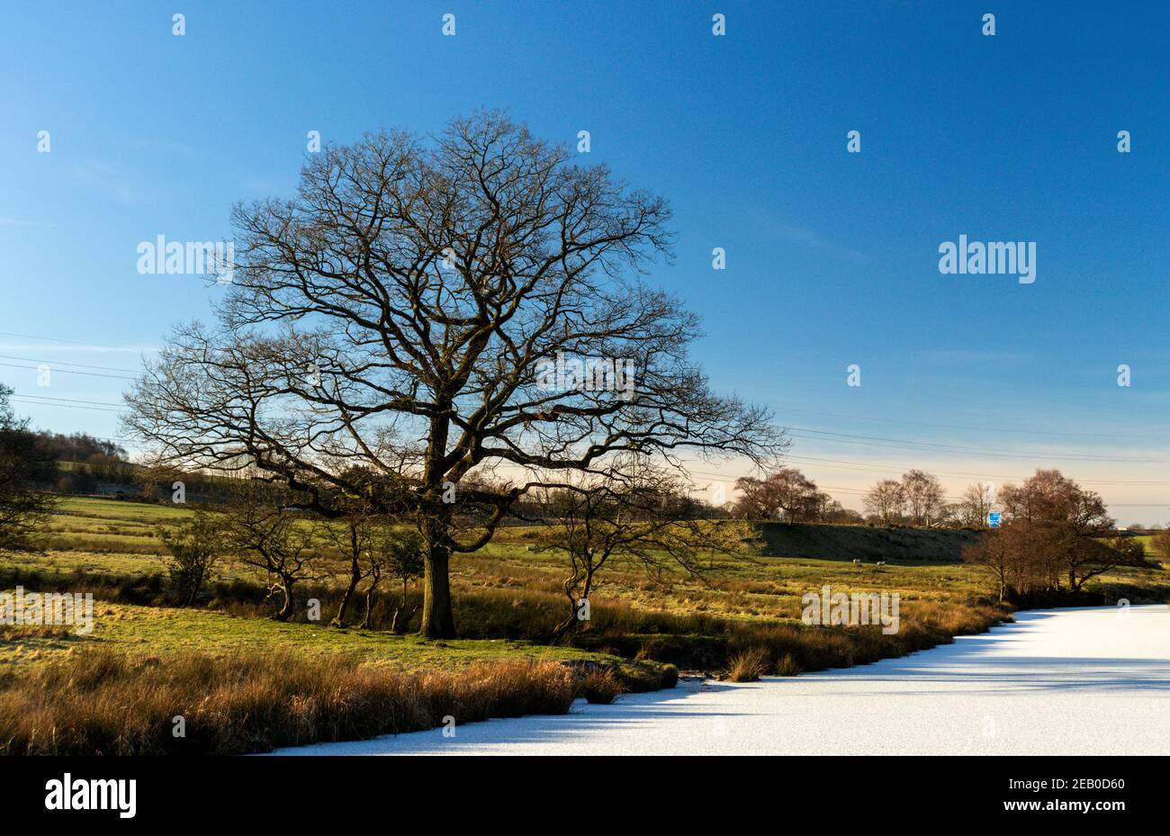 Leeds to Liverpool Canal at Riley Green, Lancashire Stock Photo - Alamy