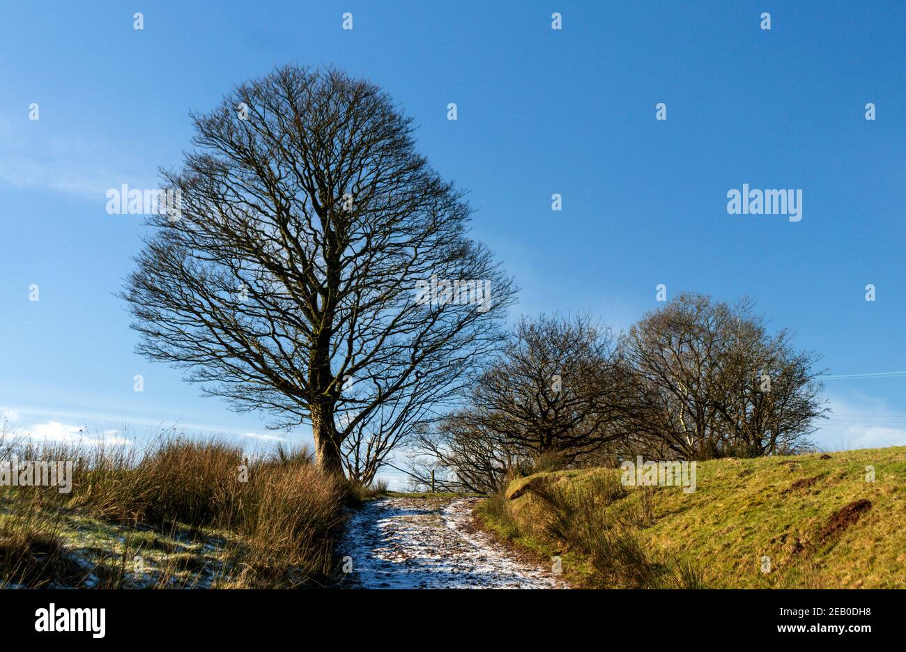 Hoghton hi-res stock photography and images - Alamy