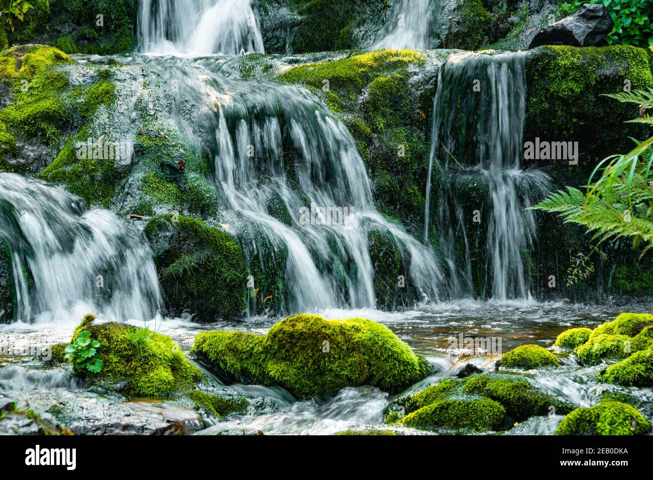 Waterfall stream with algae hi-res stock photography and images - Alamy