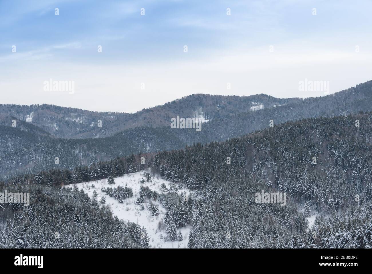 Gentle slopes of forest hills are covered with first snow. View of ...