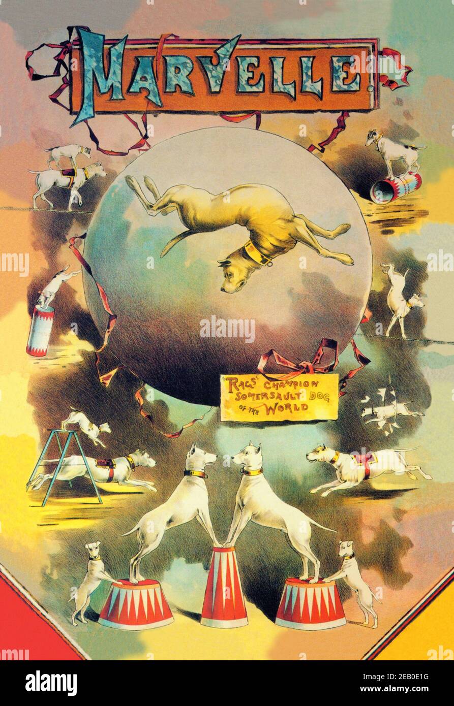 Marvelle hi-res stock photography and images - Alamy