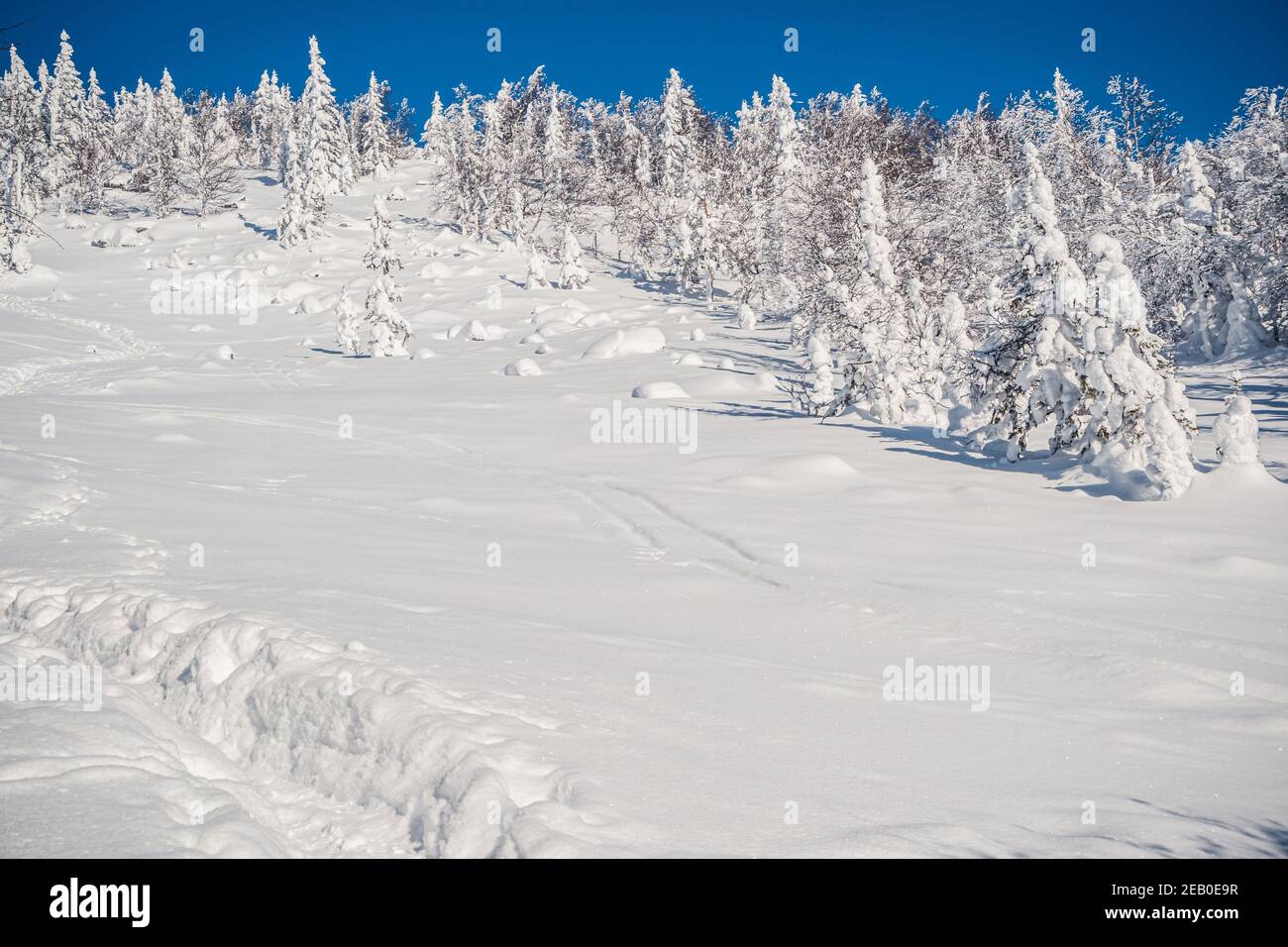 Path in deep snow on clear Sunny day. Winter trip through mountain ...