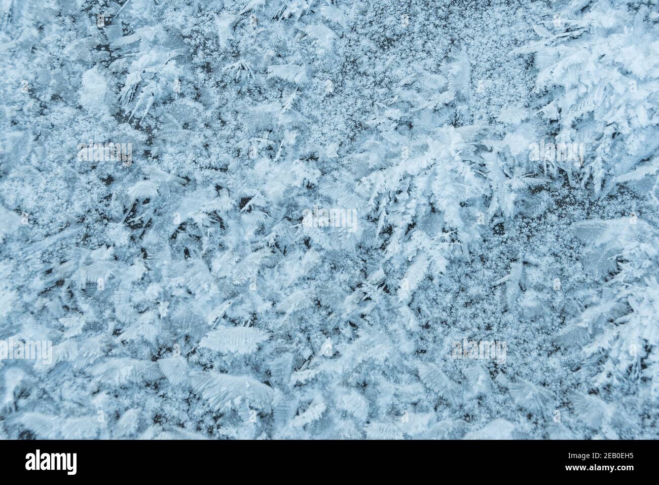 Fresh white snow and frost background structure Stock Photo - Alamy