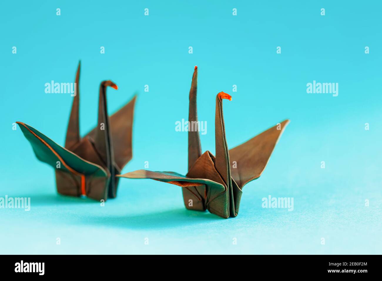 Blue origami swan hi-res stock photography and images - Alamy