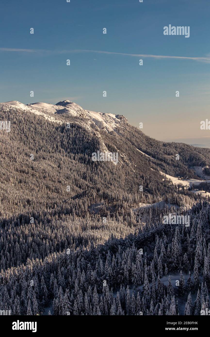 Forest spruce snow ridge spruce hi-res stock photography and images - Alamy