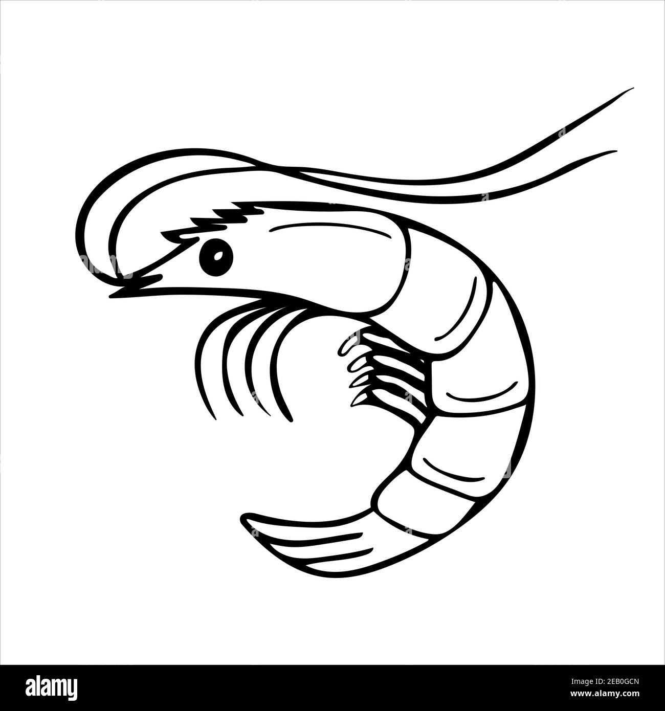 Prawn, hand drawn isolated vector illustration Stock Vector Image & Art ...