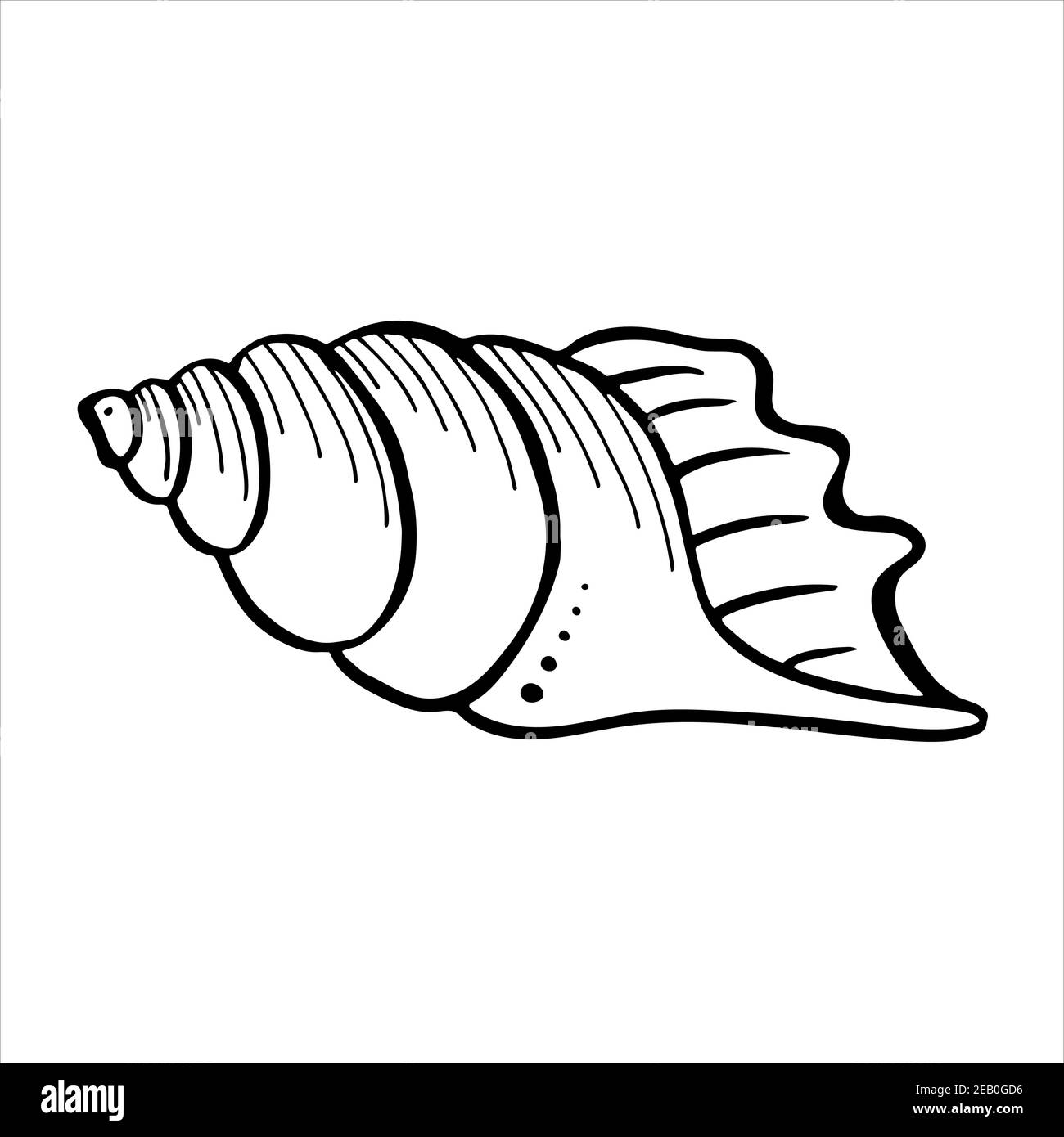 Prawn, hand drawn isolated vector illustration Stock Vector Image & Art ...
