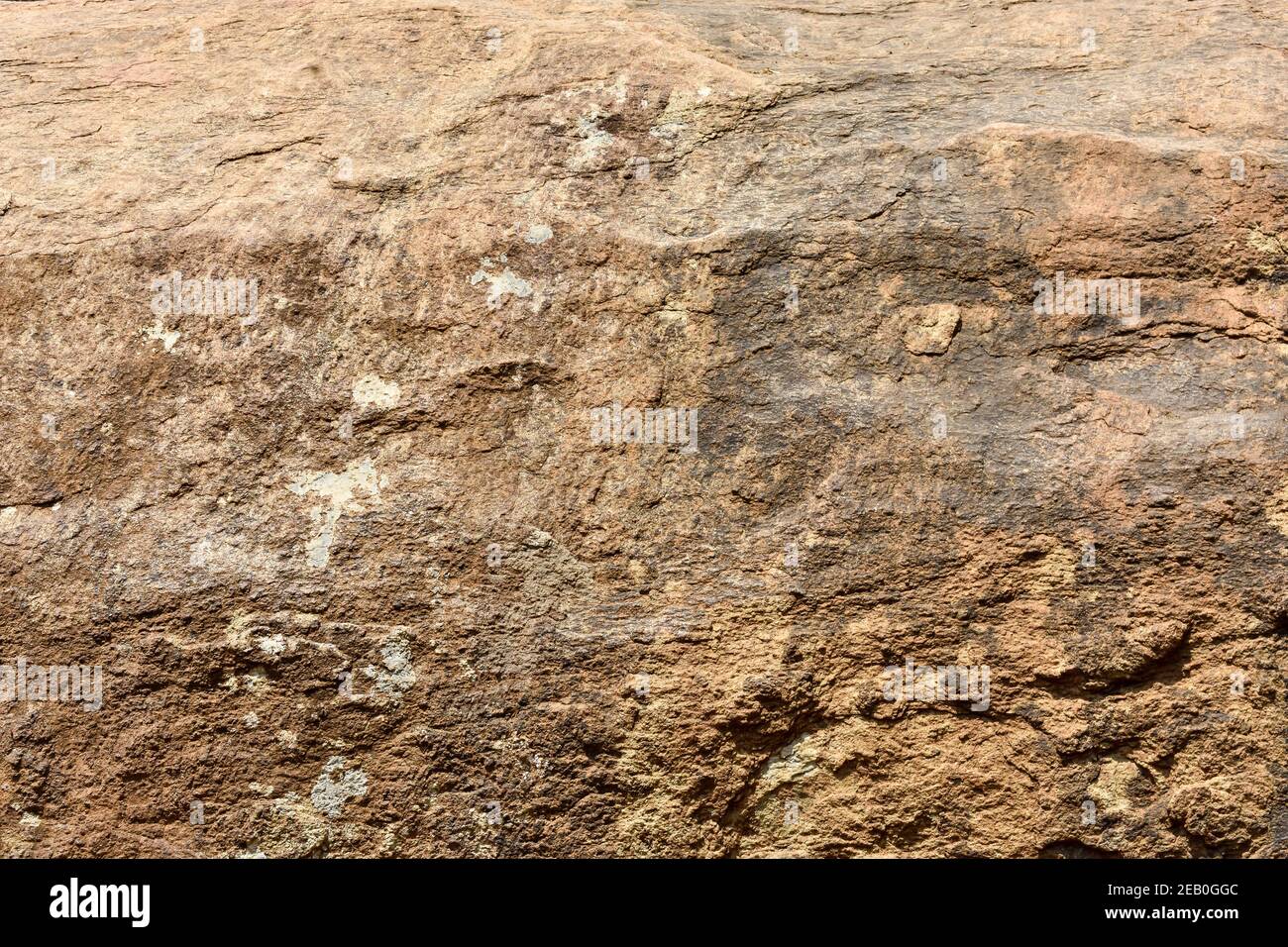 Granite rock in a forest hi-res stock photography and images - Alamy