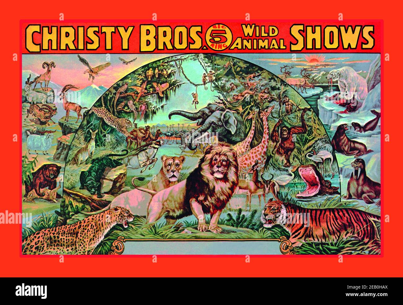 Christy Bros. 5 Ring Wild Animal Shows Stock Photo - Alamy