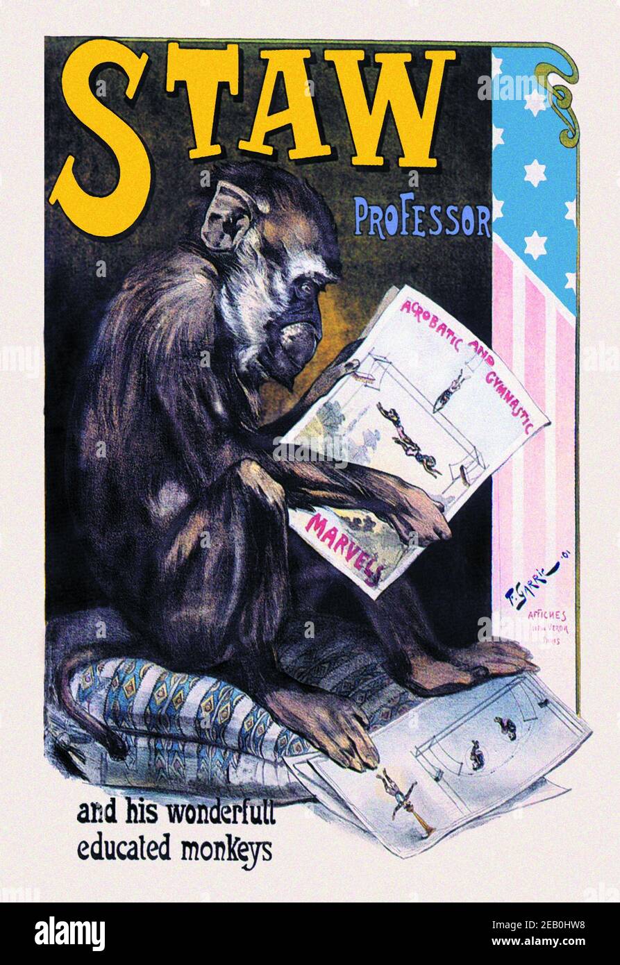 Professor Staw and His Wonderful Educated Monkeys Stock Photo - Alamy