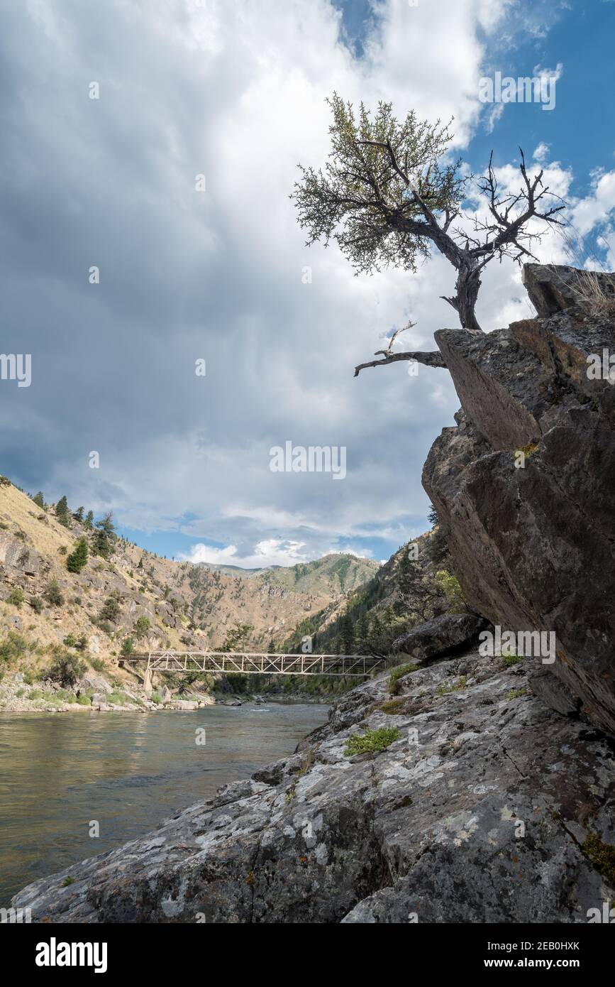 Pack bridge over the Middle Fork of the Salmon River, Idaho Stock Photo ...
