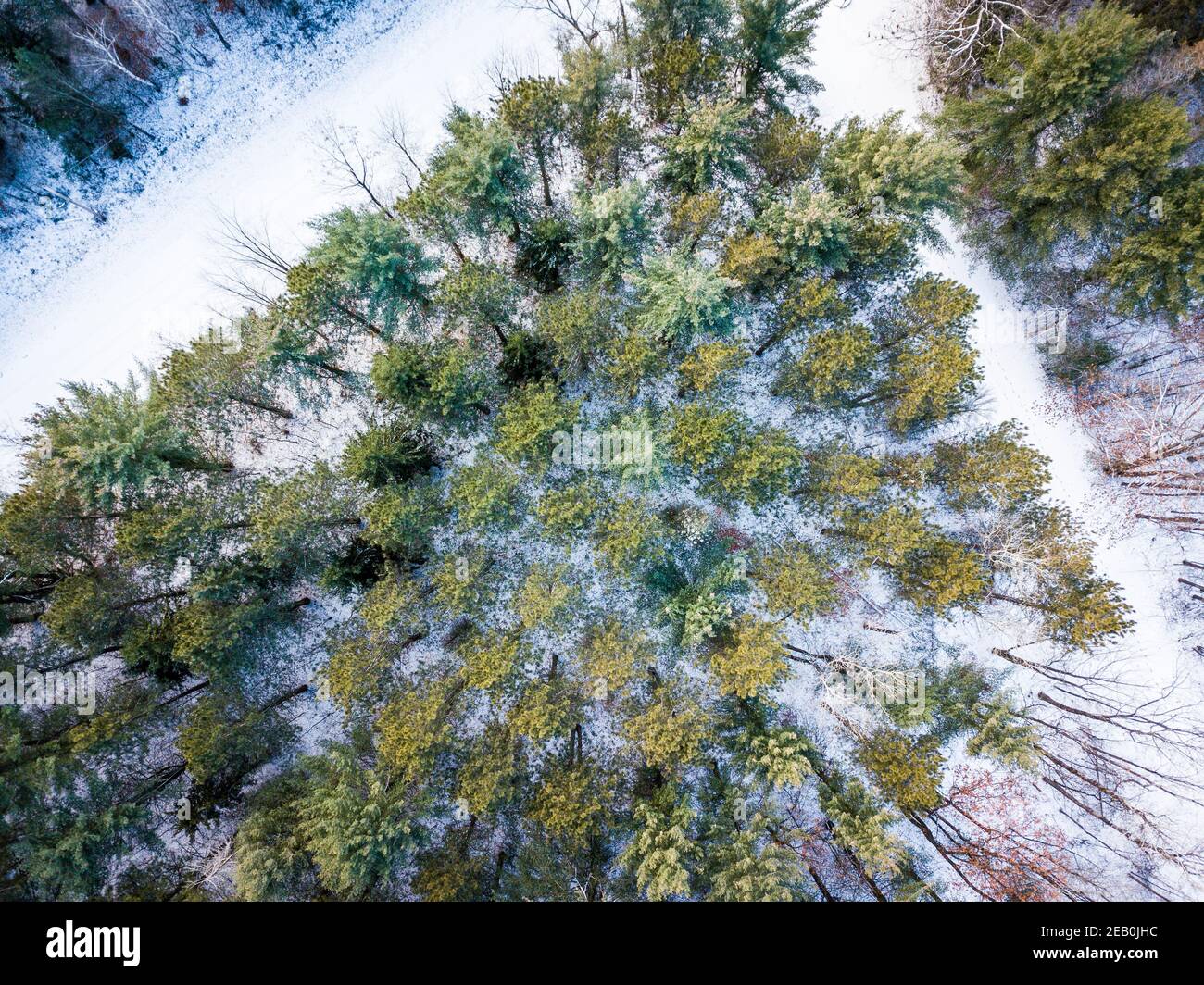 Abstract forest aerial; hi-res stock photography and images - Alamy