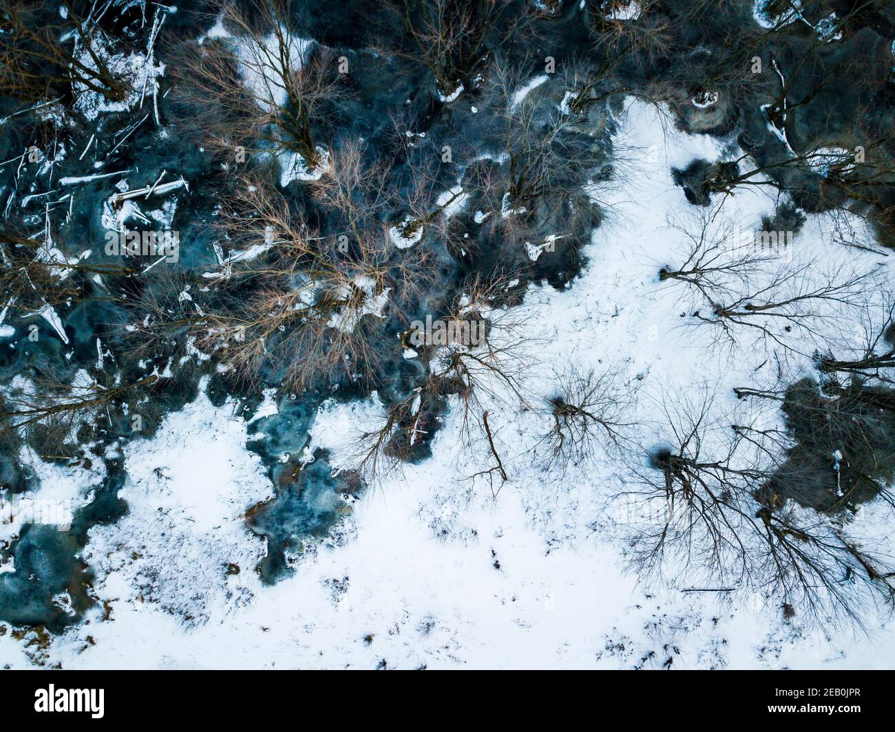 Forest aerial view during winter Stock Photo - Alamy