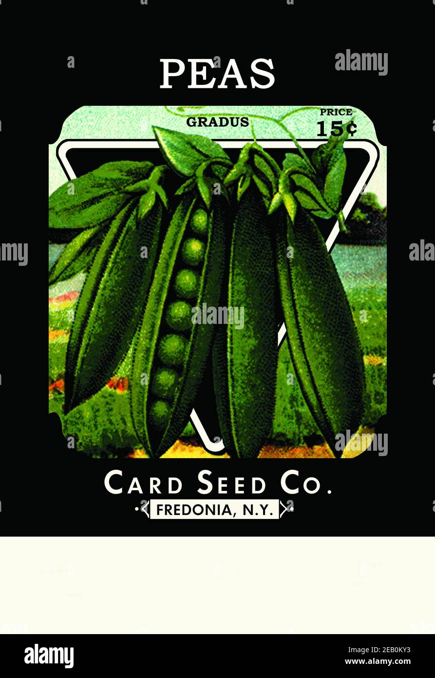 Gradus hi-res stock photography and images - Alamy