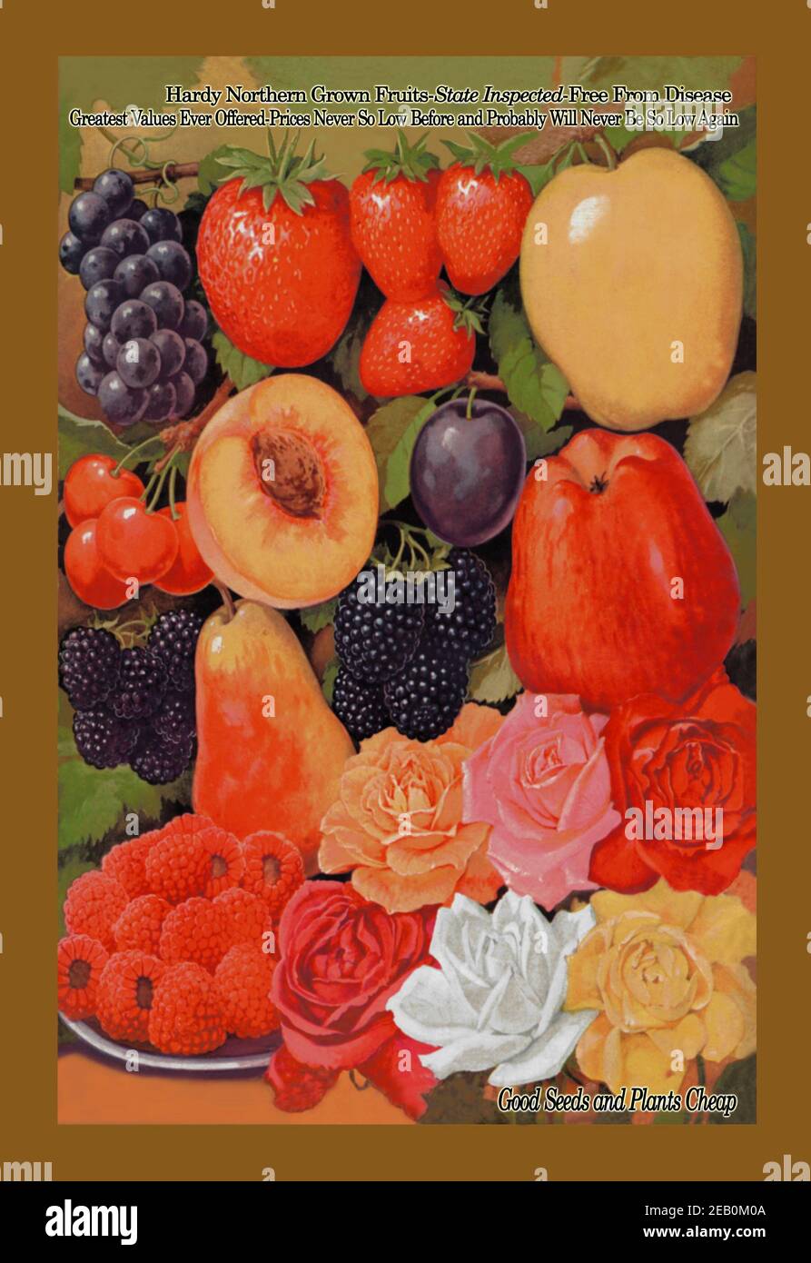 Hardy Northern Grown Fruits Stock Photo - Alamy