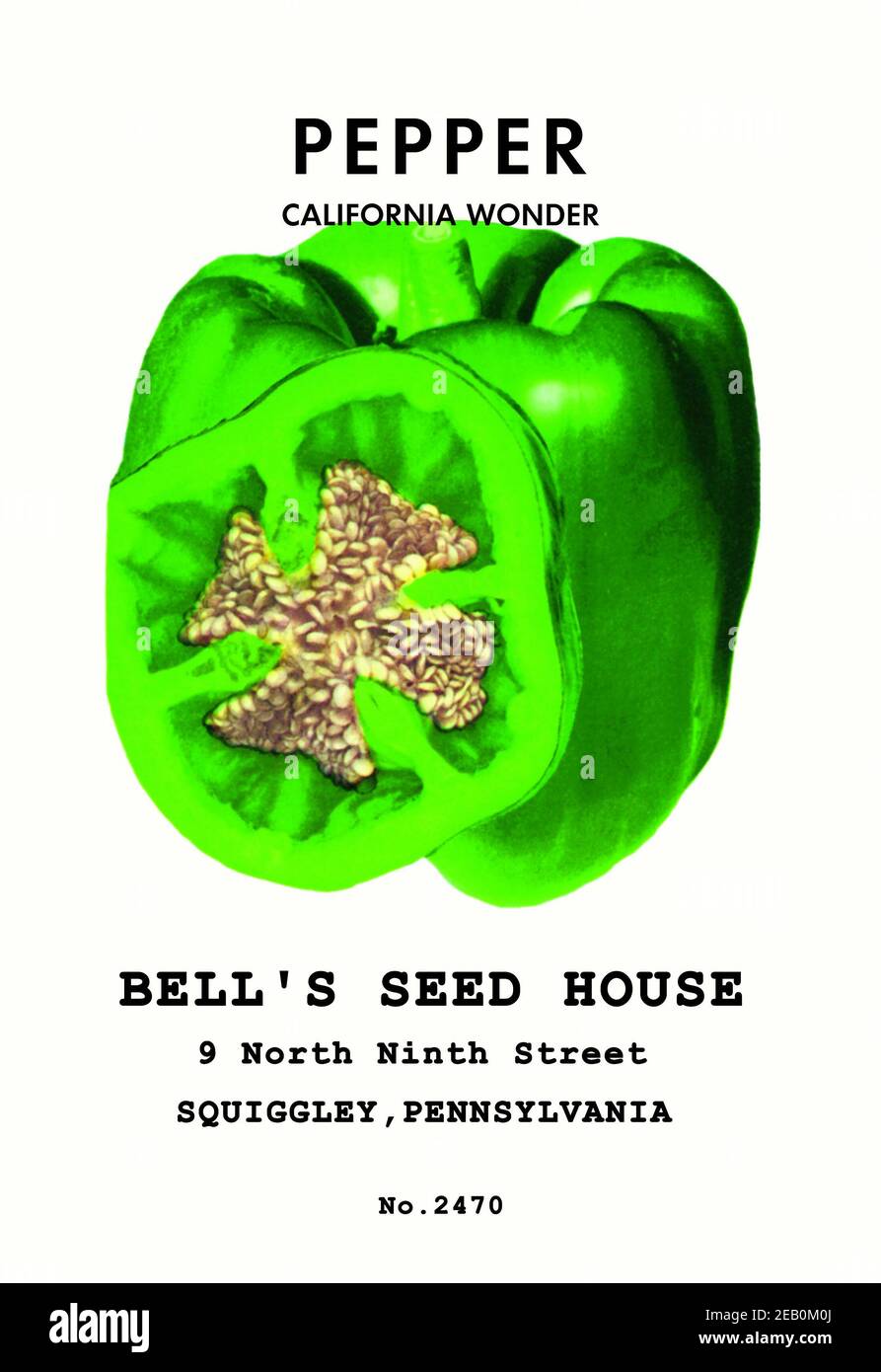 Pepper: California Wonder Stock Photo - Alamy