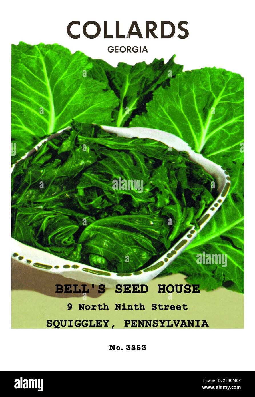 Georgia plants Cut Out Stock Images & Pictures - Alamy