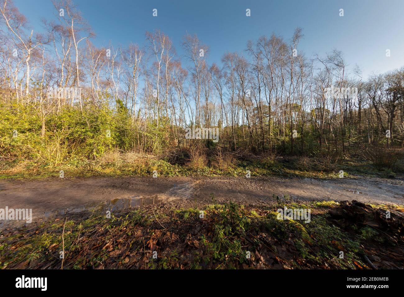 Bromley common and keston hi-res stock photography and images - Alamy