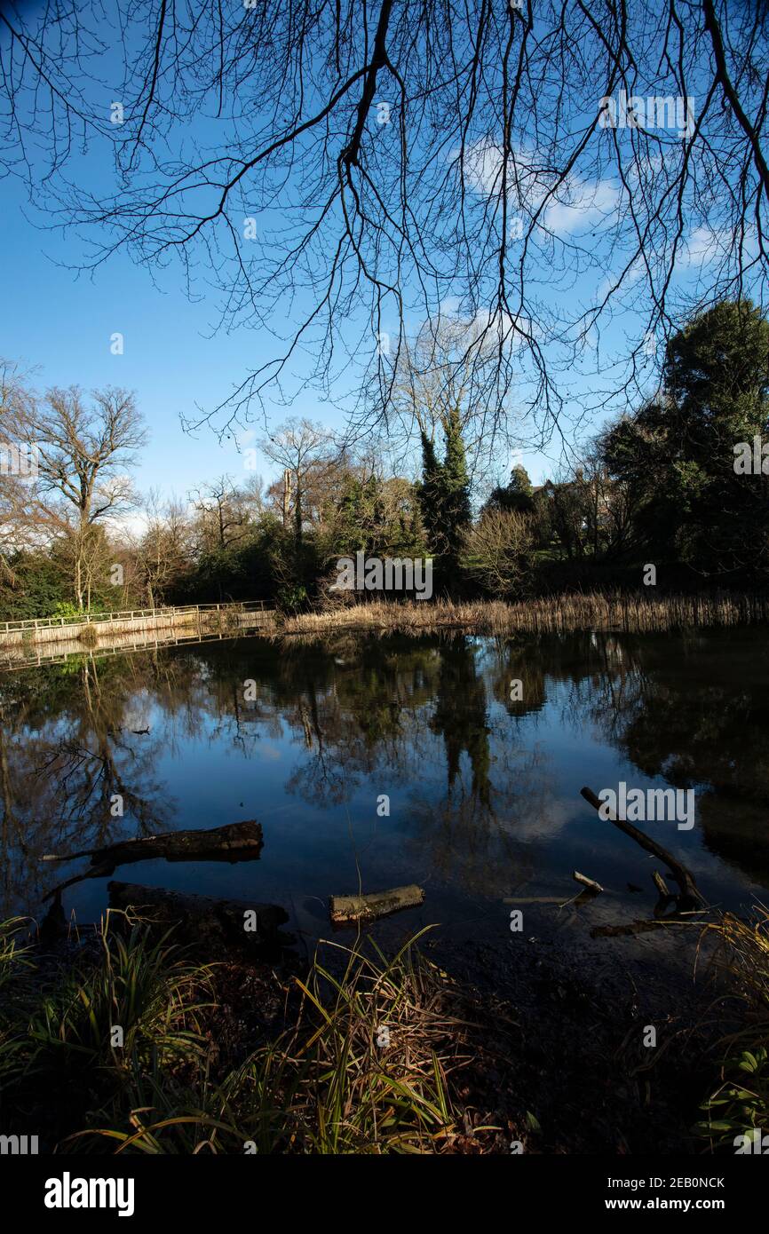 Late winter landscape of Keston middle pond in glorious winter sunshine ...