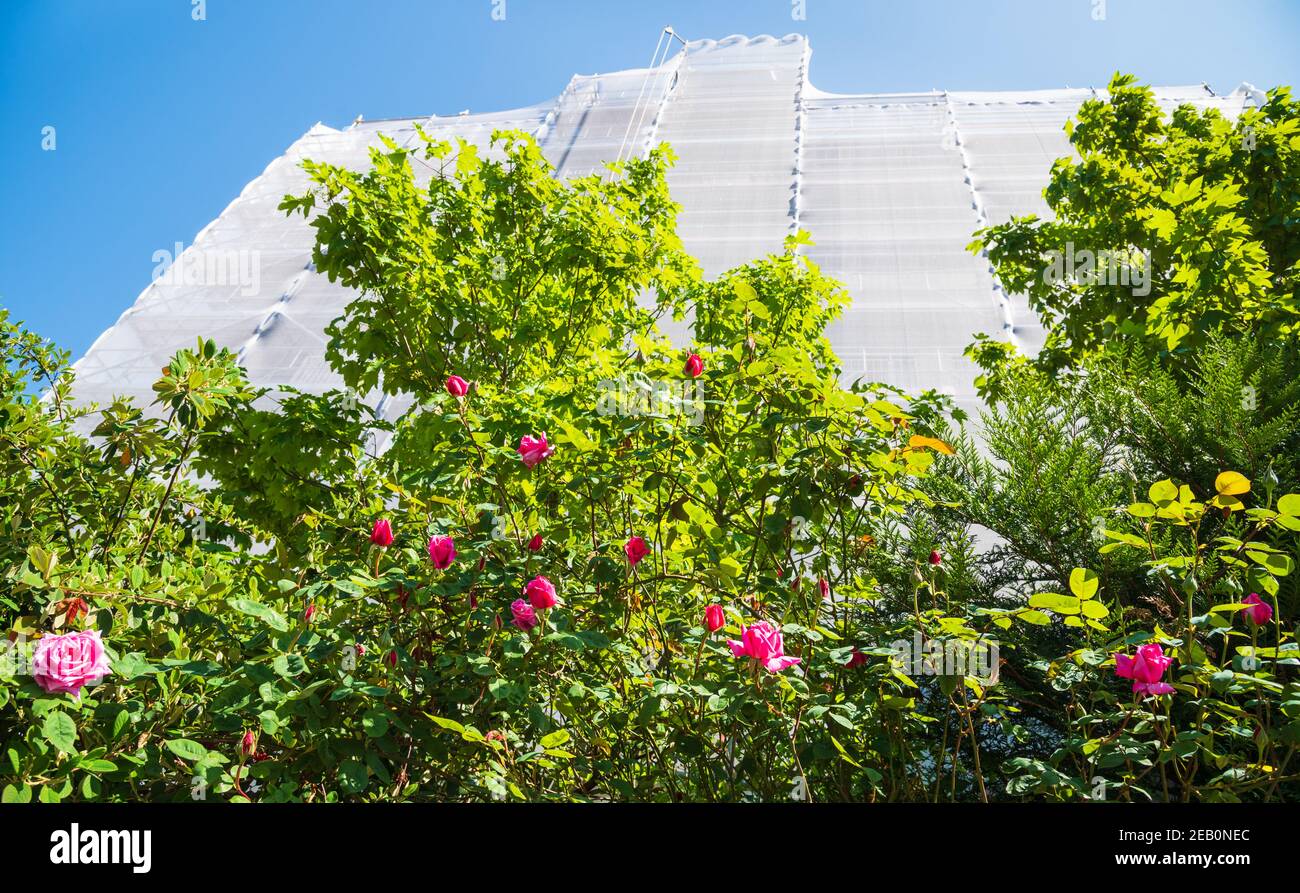 Renovation of residential building and natural environment. House ...