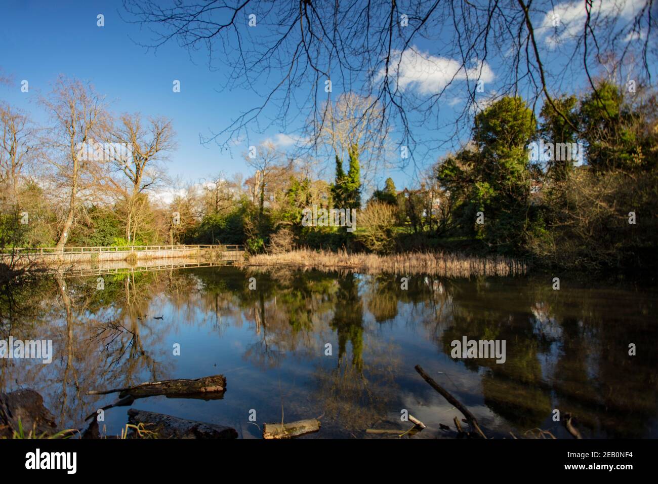 Late winter landscape of Keston middle pond in glorious winter sunshine ...