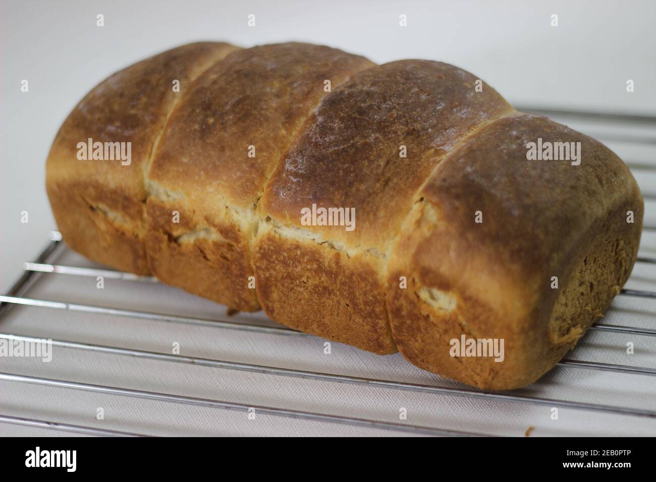 Home baked mini roll loaf bread with broken bands of rolls visible ...