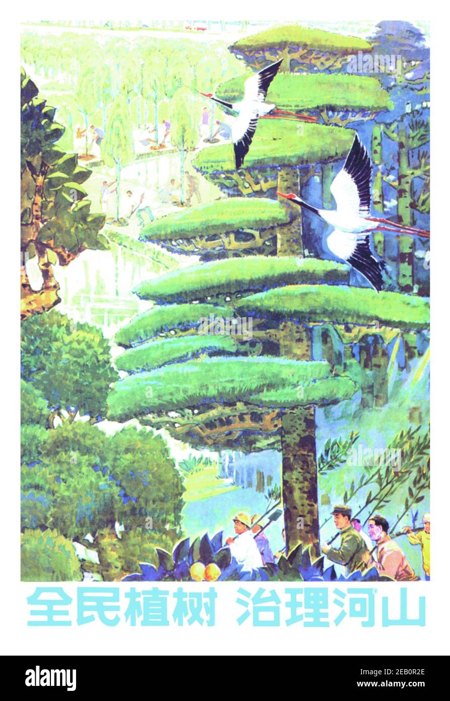 Whole trees Cut Out Stock Images & Pictures - Alamy