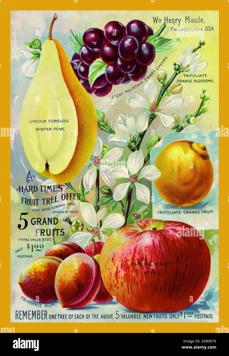 5 Grand Fruits Stock Photo - Alamy