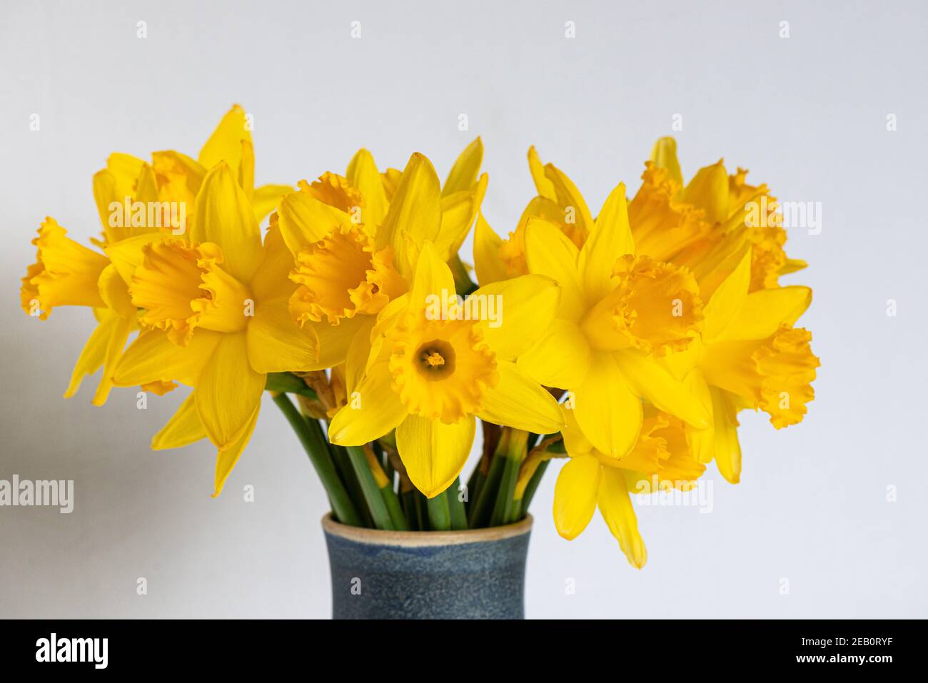 Daffodil flowers in a vase Stock Photo - Alamy