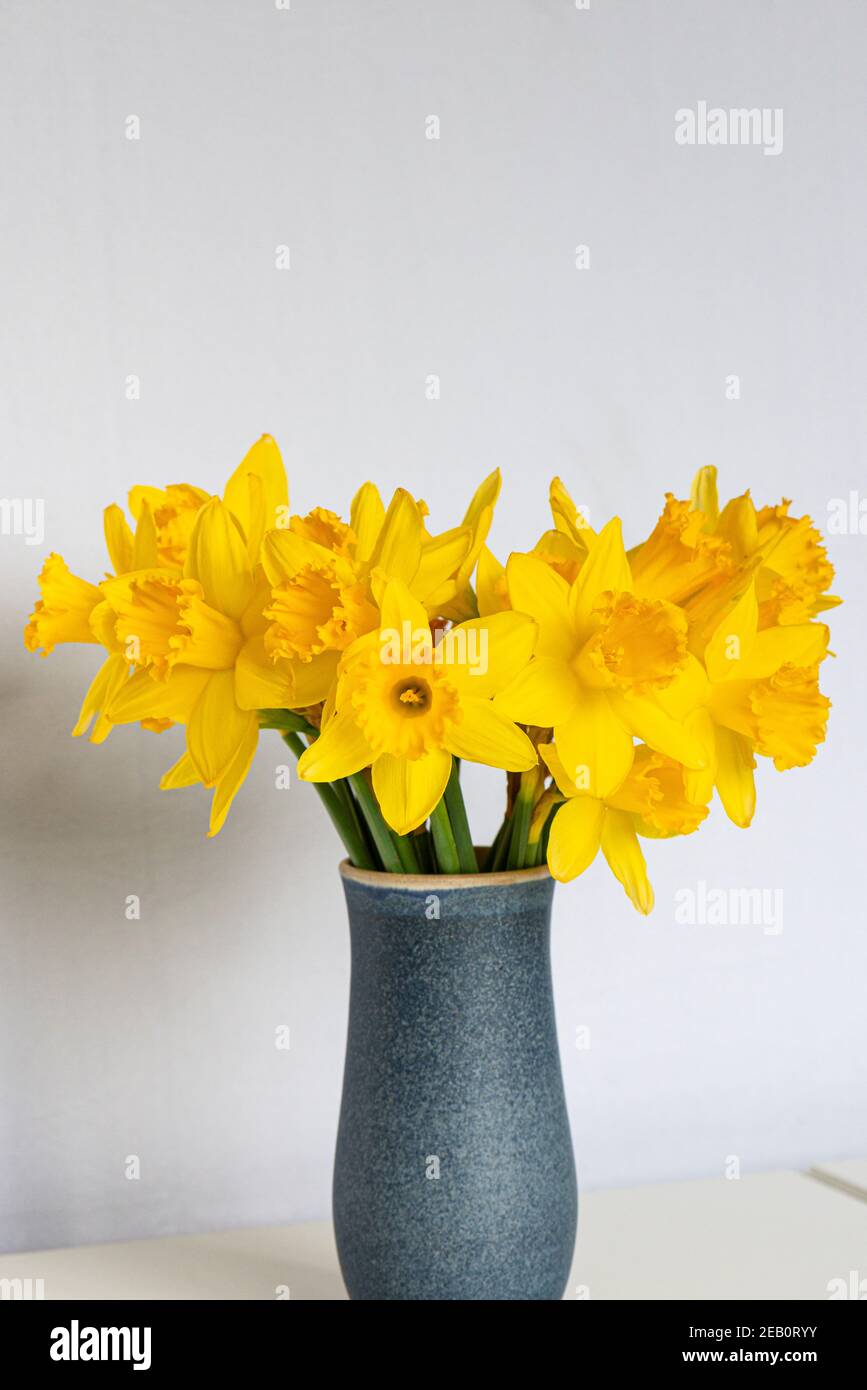 Daffodil flowers in a vase Stock Photo - Alamy
