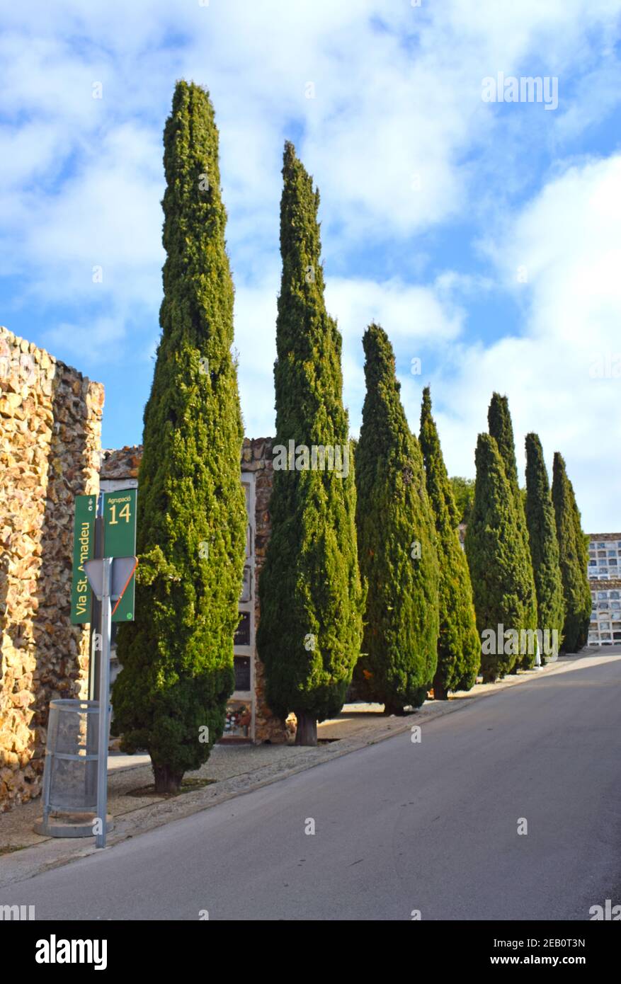 Cypress tomb hi-res stock photography and images - Alamy