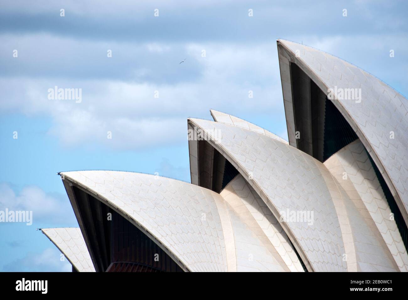 The “shells” of the Sydney Opera House, covered with white tiles ...