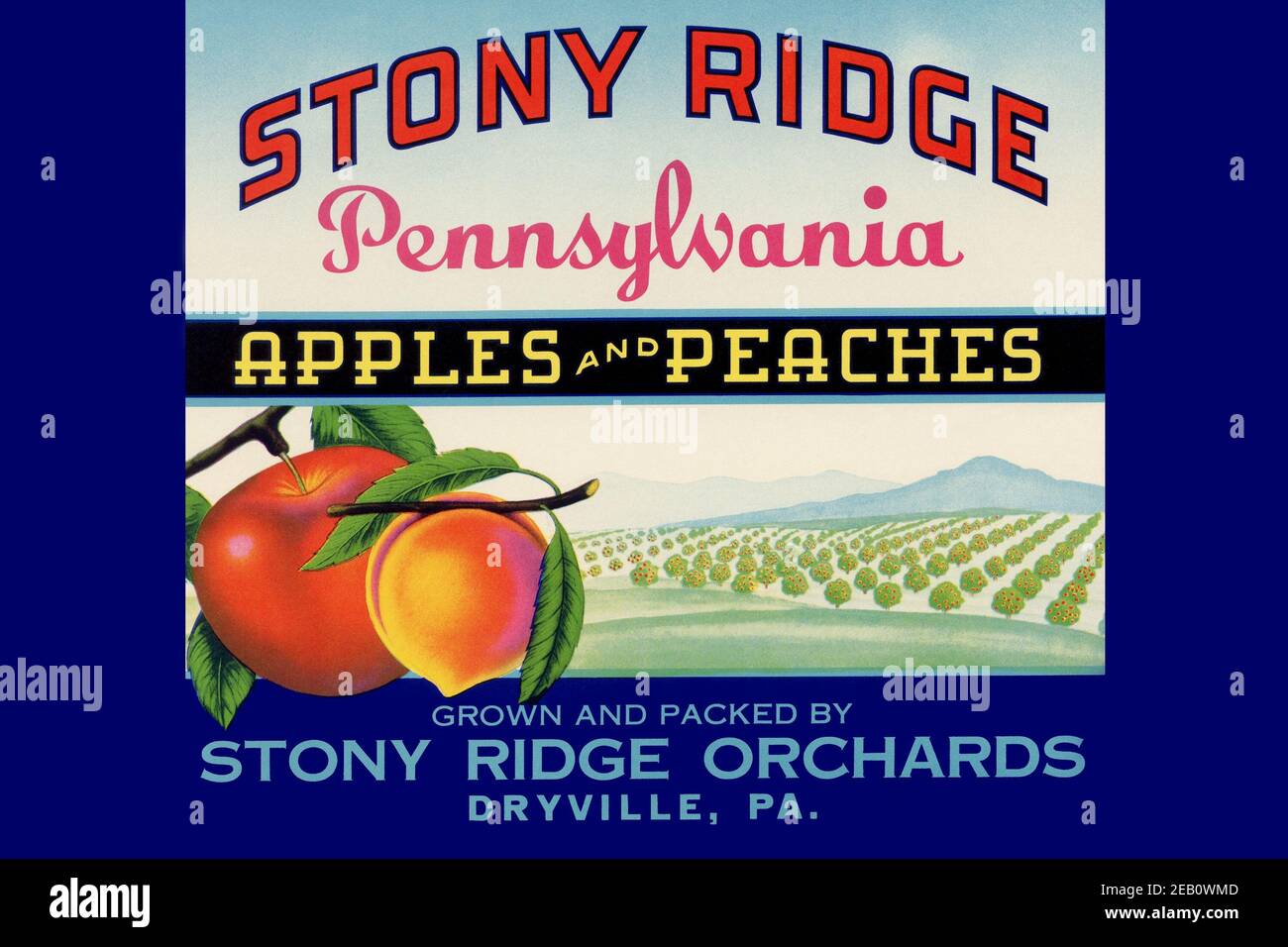 Stony Ridge Pennsylvania Apples and Peaches Stock Photo - Alamy