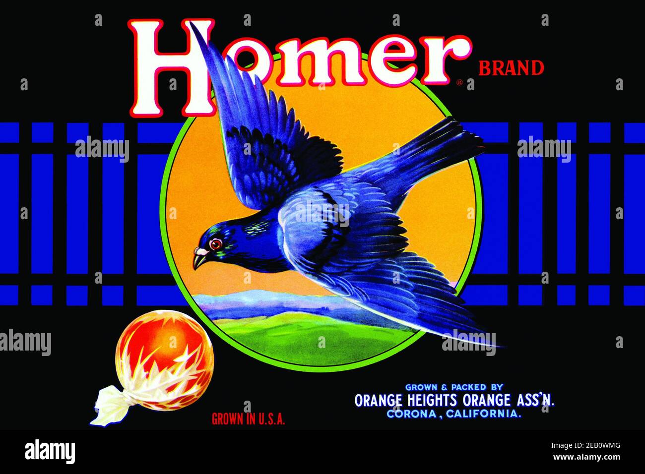 Vintage bird hi-res stock photography and images - Alamy