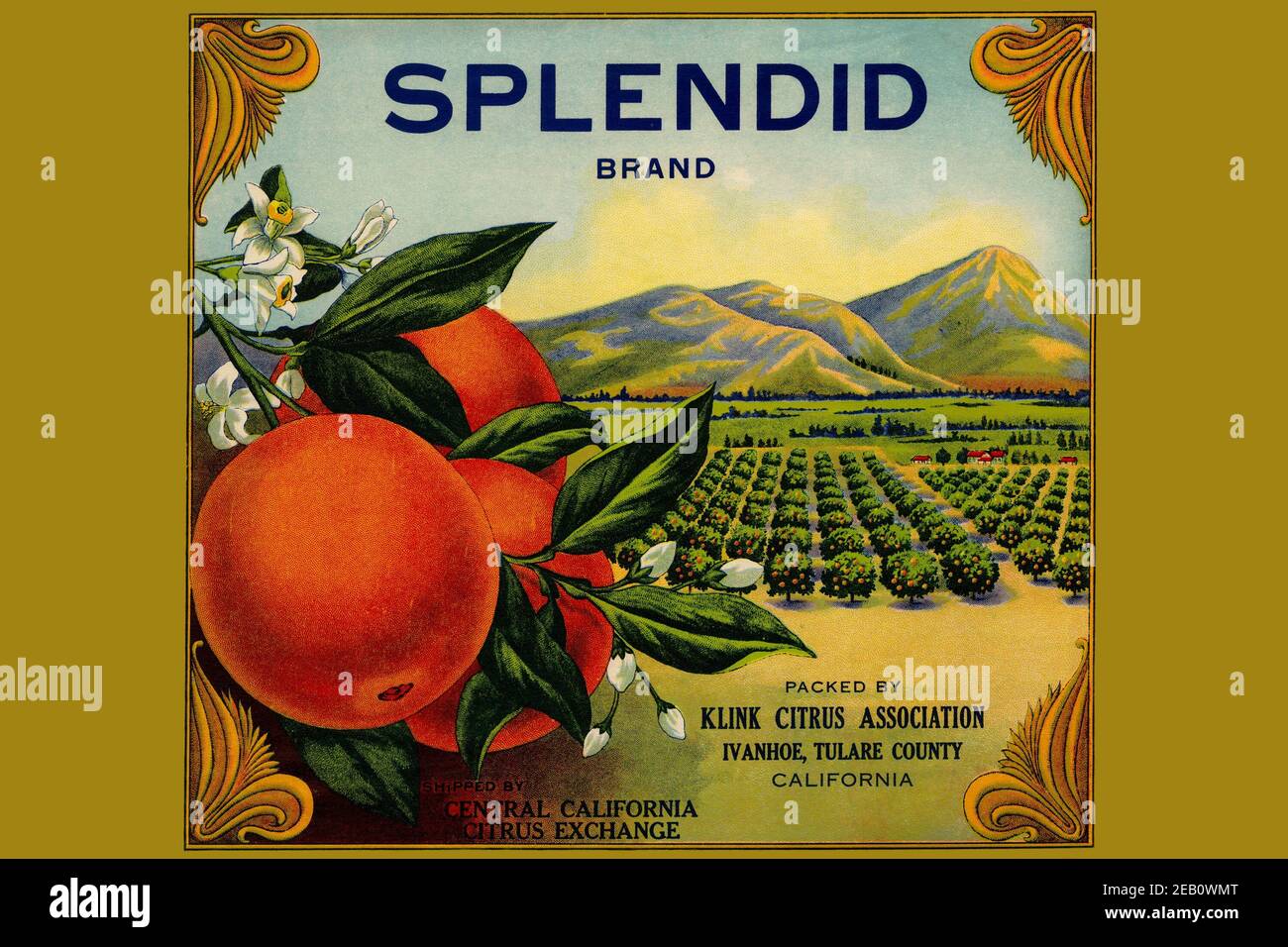 Citrus crate label hi-res stock photography and images - Alamy