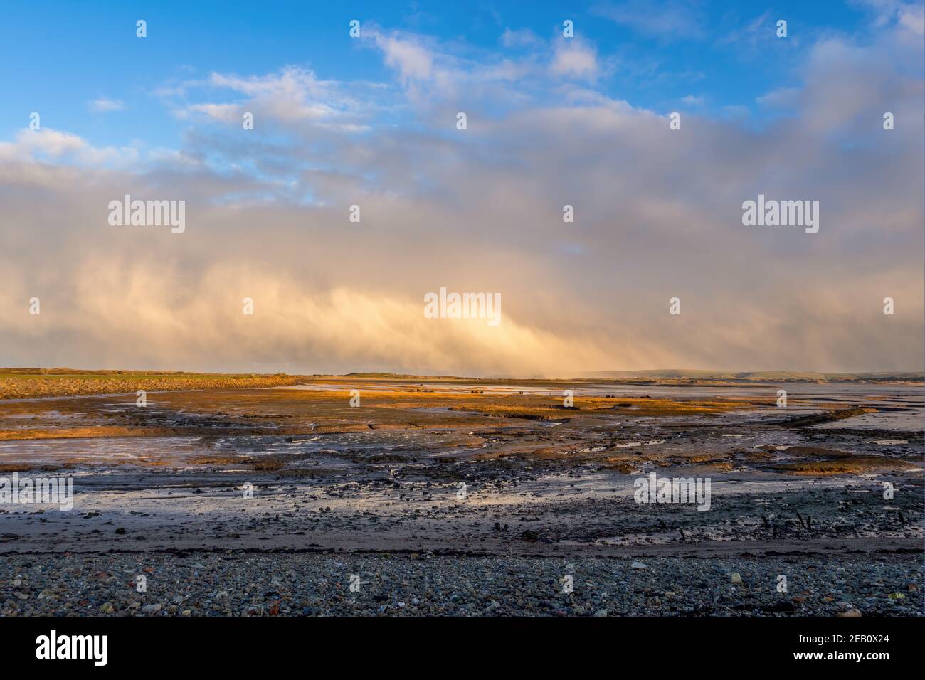 Golden hour view over the reeds of the Skern area of Northam Burrows ...